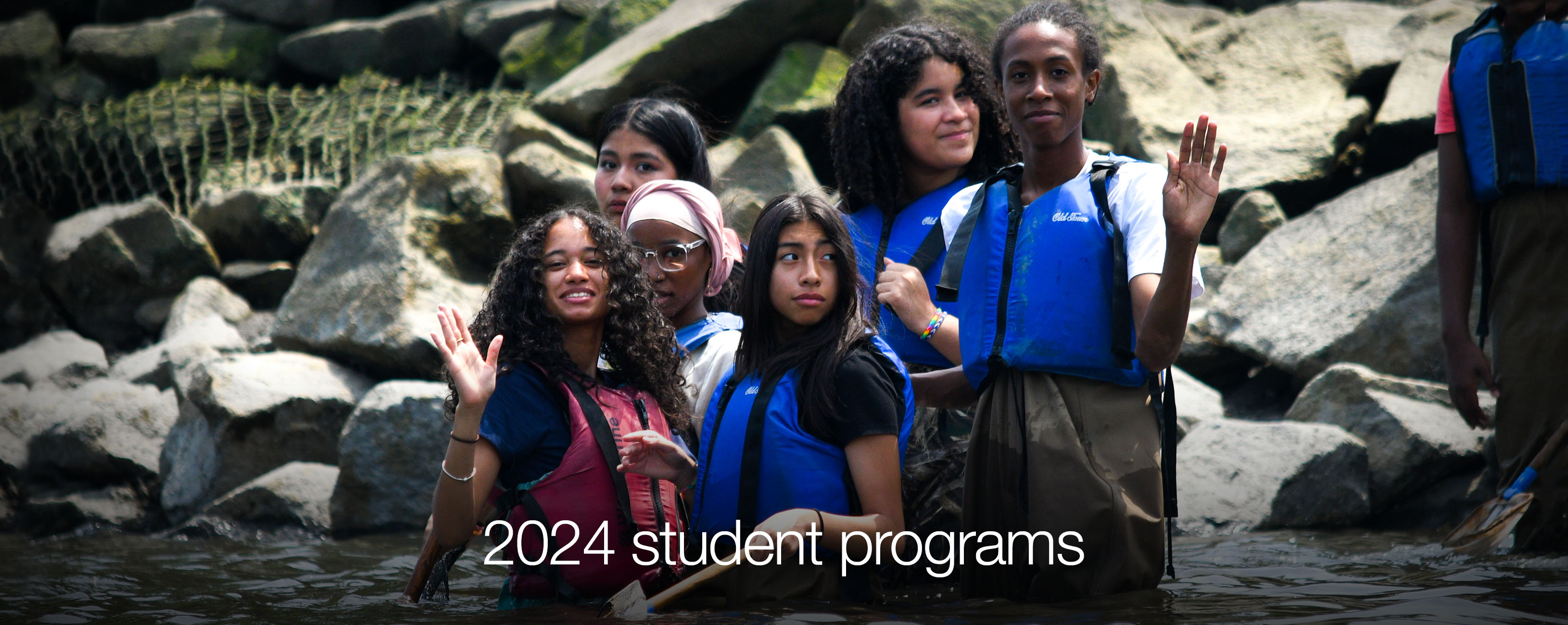 2024 at rocking the boat - Rocking the Boat